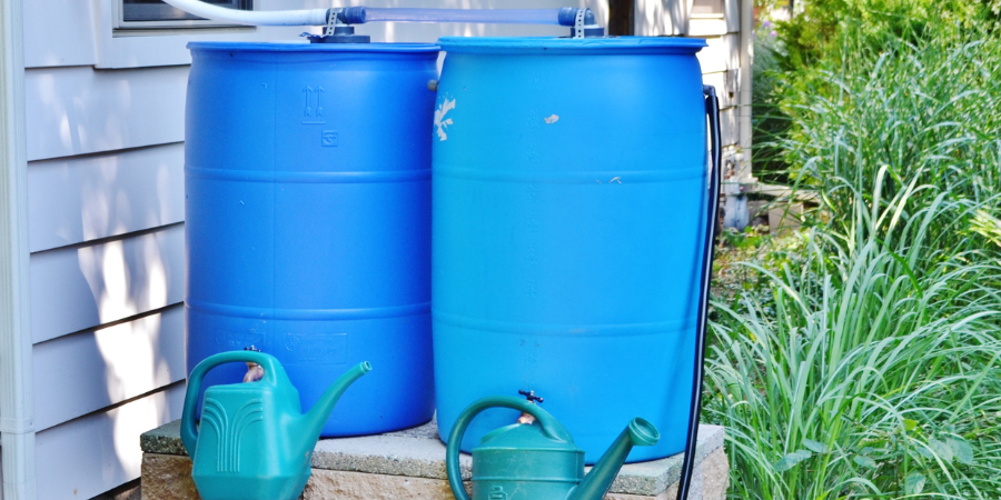 3 Reasons to Use Rain Barrels to Conserve Water in Your Backyard Garden