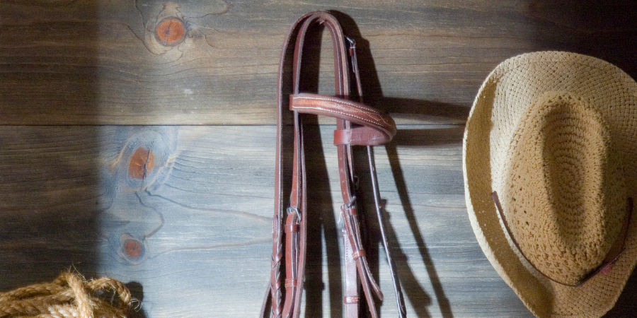 How a Run-In Shed Can Transform Animal Training and Behavior